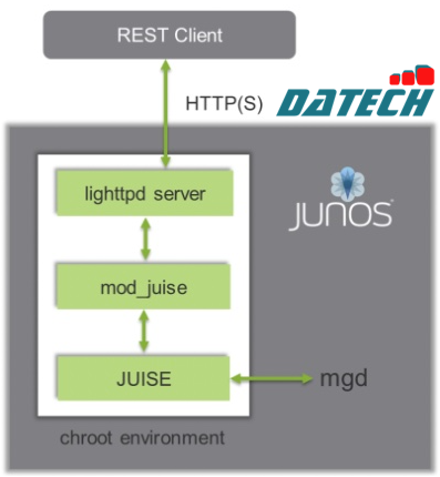 Hướng dẫn cấu hình và sử dụng REST API trên thiết bị Juniper JunOS